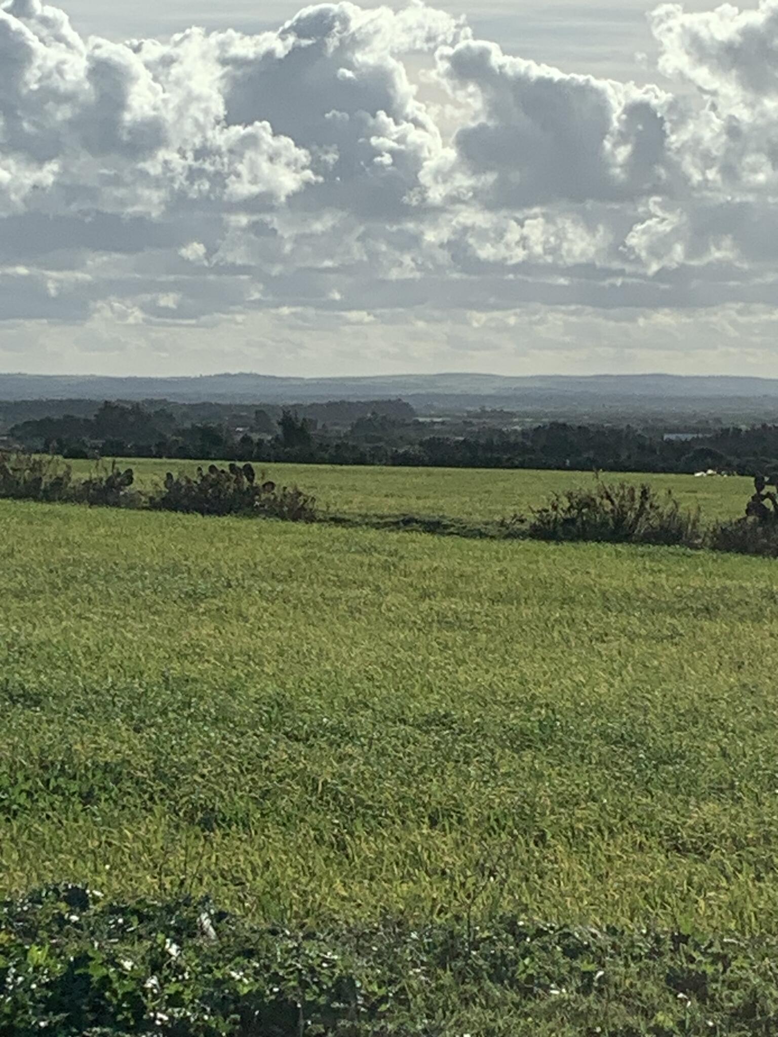 Math tutor - Montréal, Québec - Nextdoor