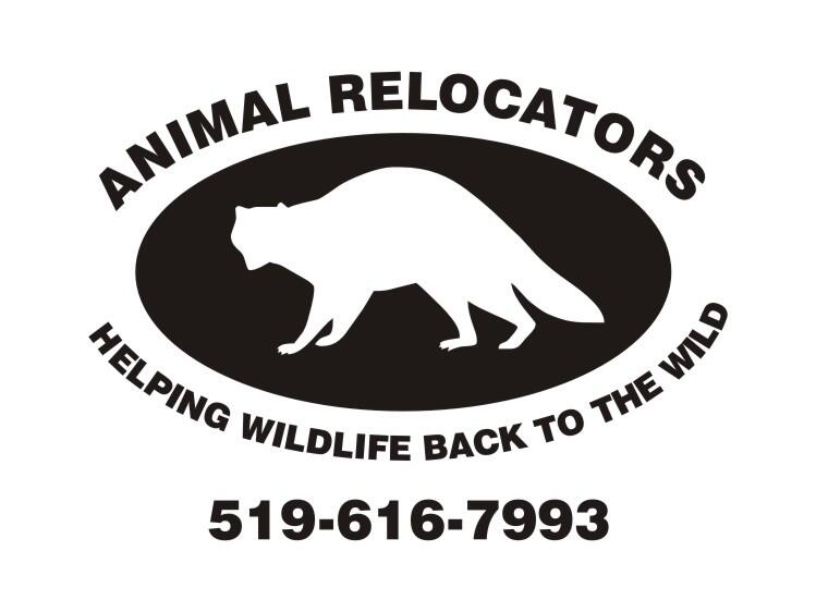 Animal Relocators - Kitchener - Nextdoor