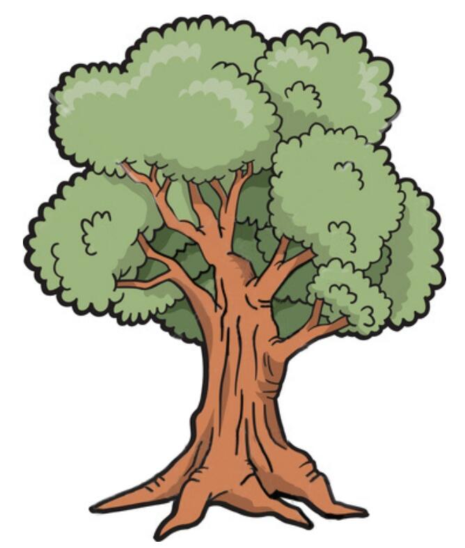 Narra Tree Drawing