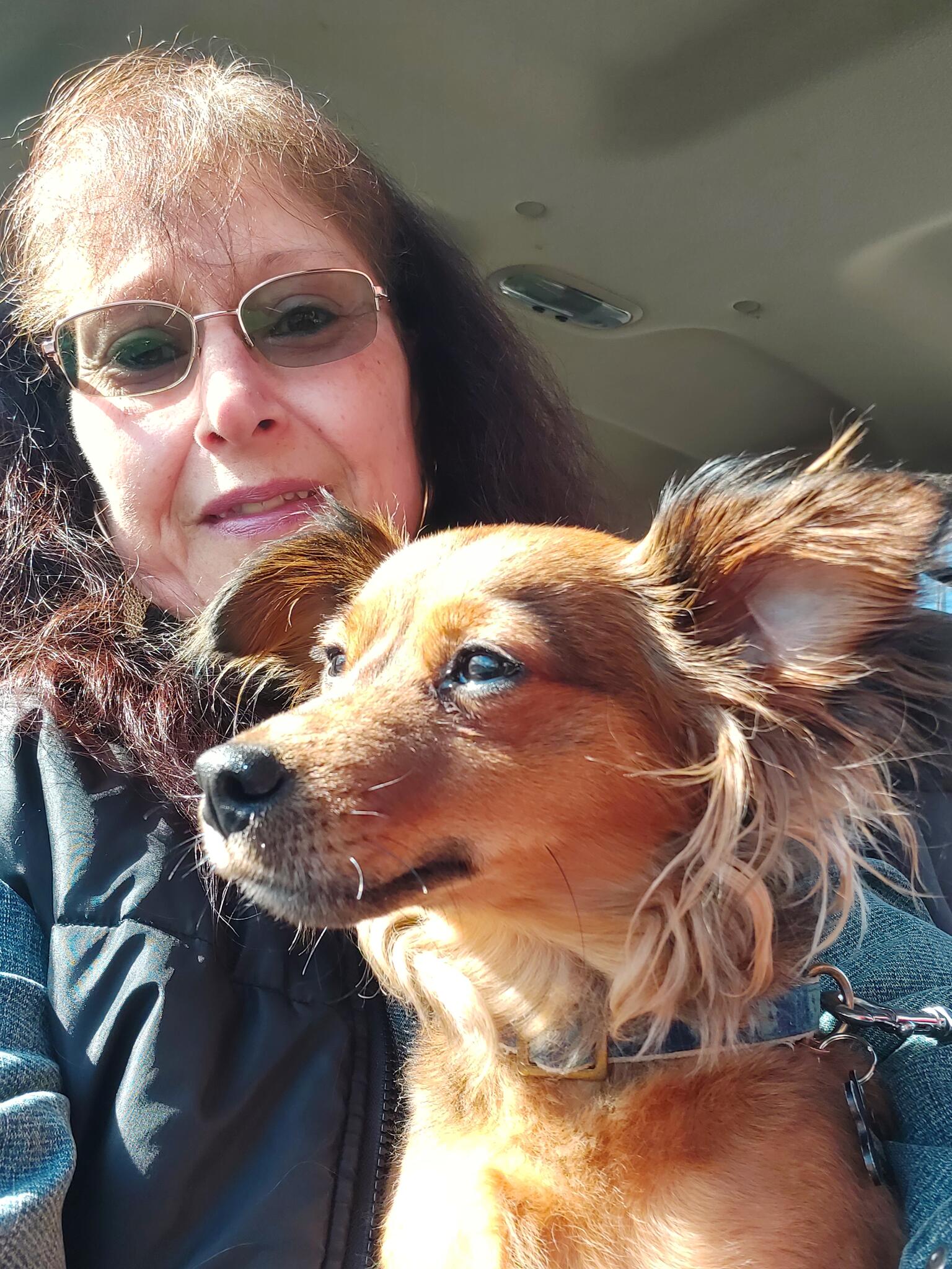 Gucci-goo dogsitting - Cambridge, CA-ON - Nextdoor