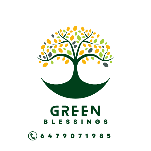 Green Blessings - Markham, Ontario - Nextdoor