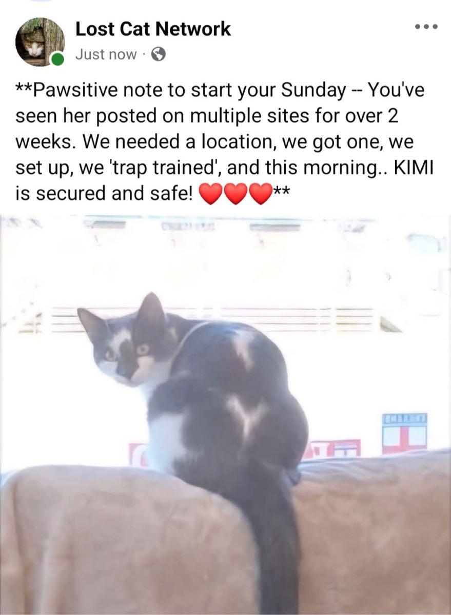 Quinte West, ON | News, Crime, Lost Pets, Free Stuff
