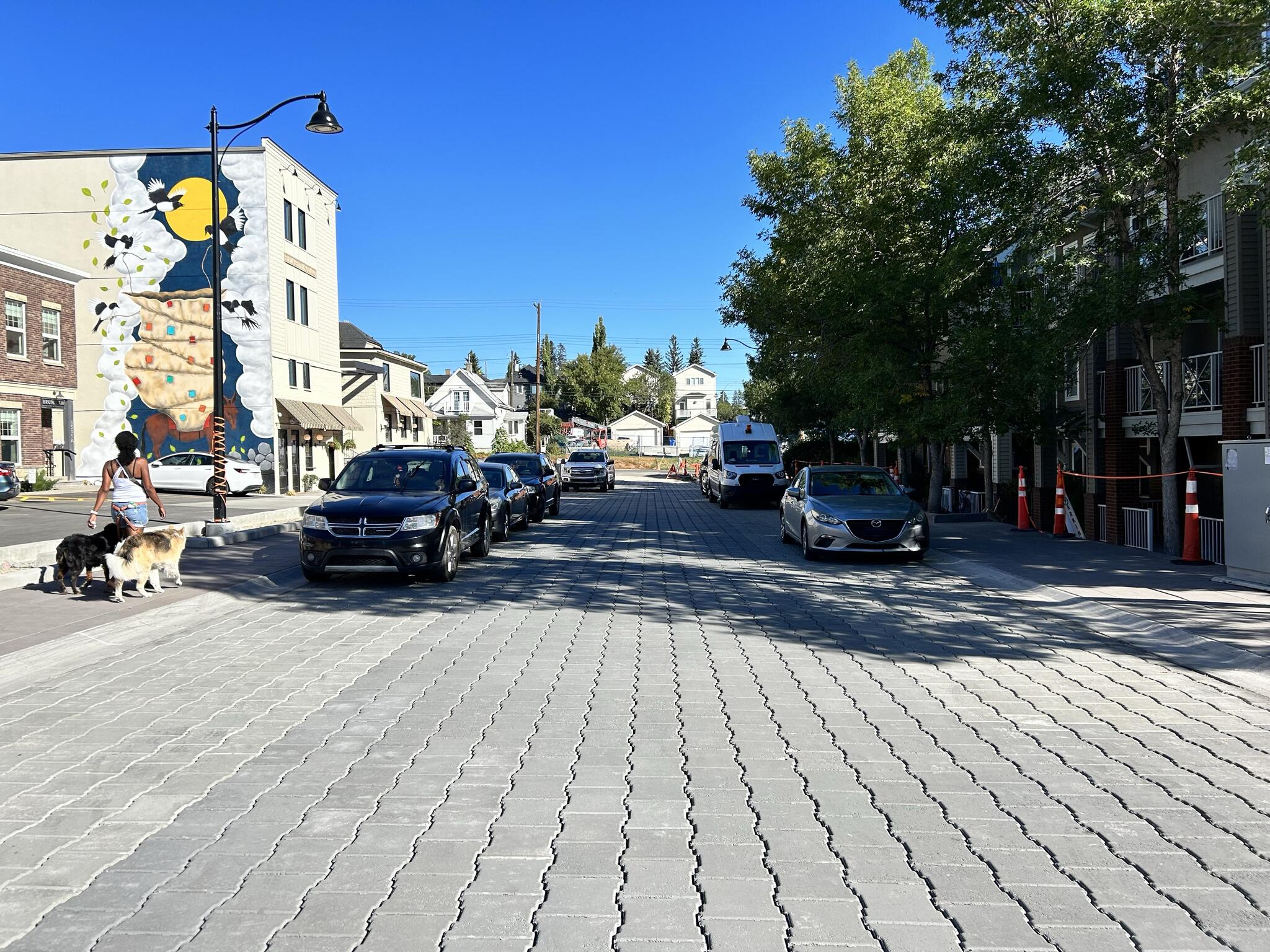 In the Marda Loop Main Street Project, we've introduced permeable ...